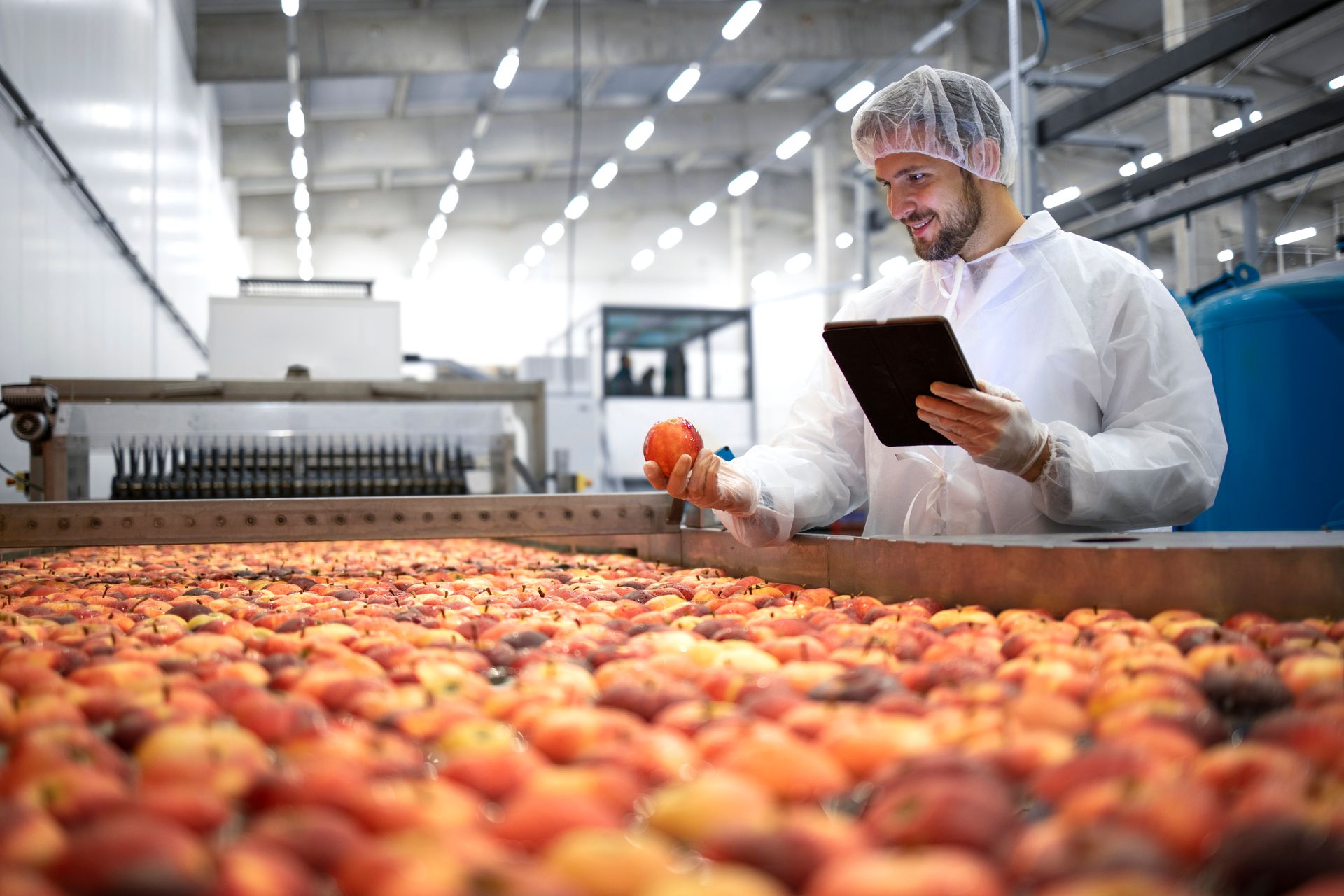 Disfruta™ | Frutas de México y el Mundo
