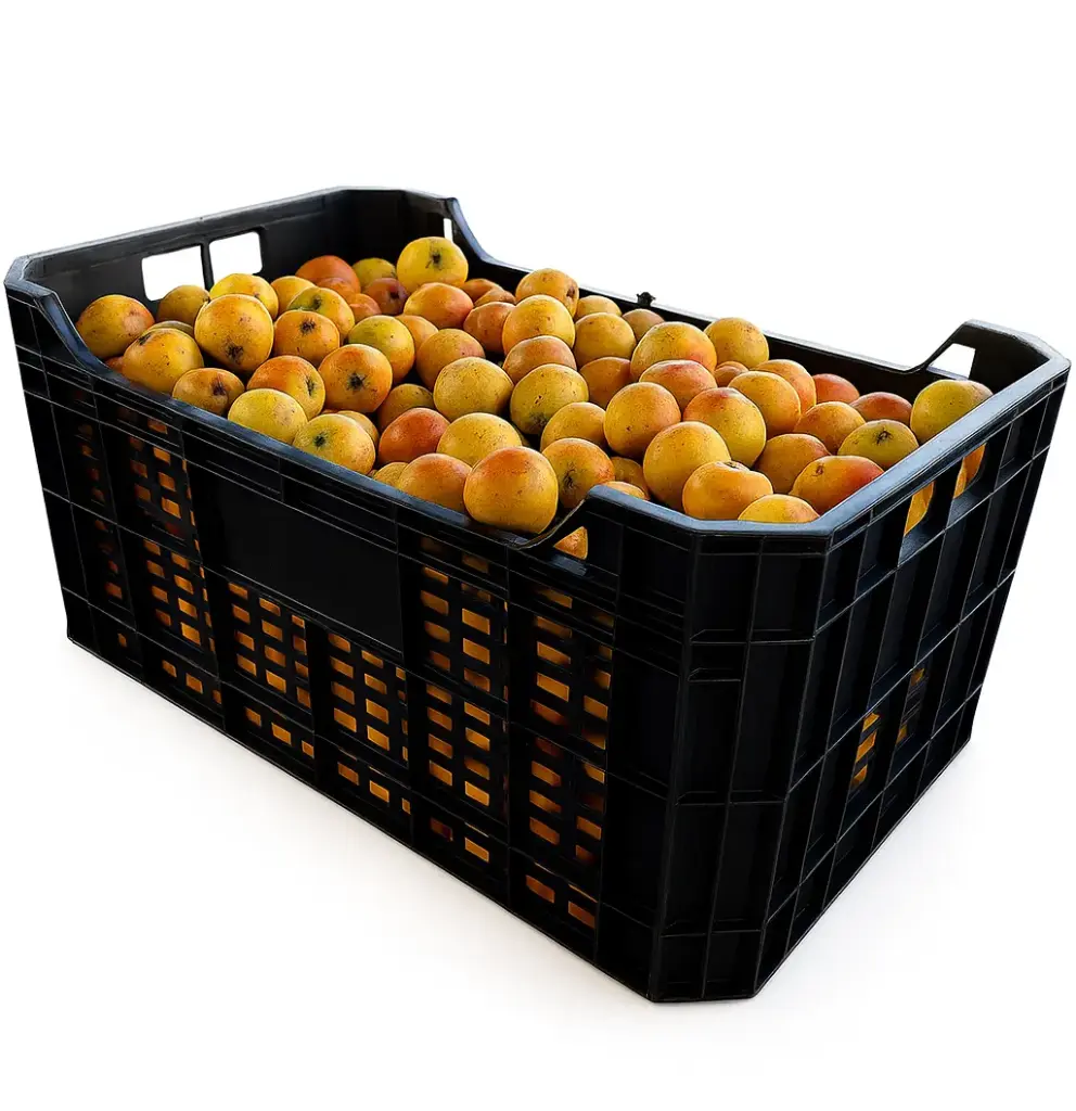 Tejocote Trayci. | #Jumbo | Morelos | C-PLS ±15kg | Disfruta™